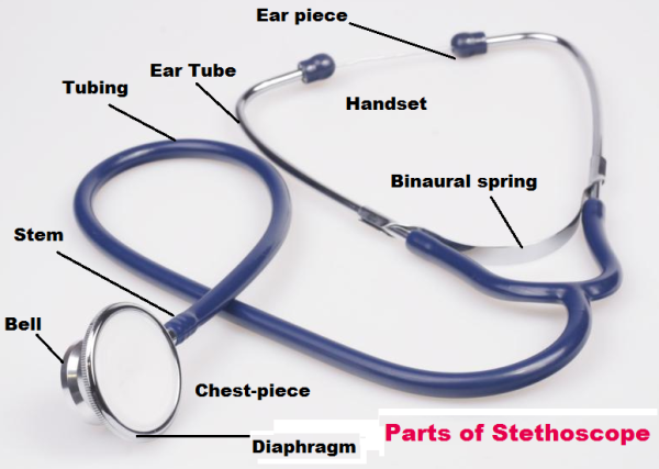 Anatomy Of Stethoscope : What Are The 5 Parts Of The Stethoscope? - Dr ...